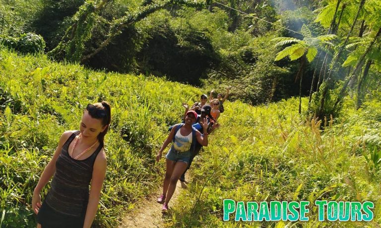 Rain Forest Water Slide Puerto Ri | Paradise Tours Puerto Rico