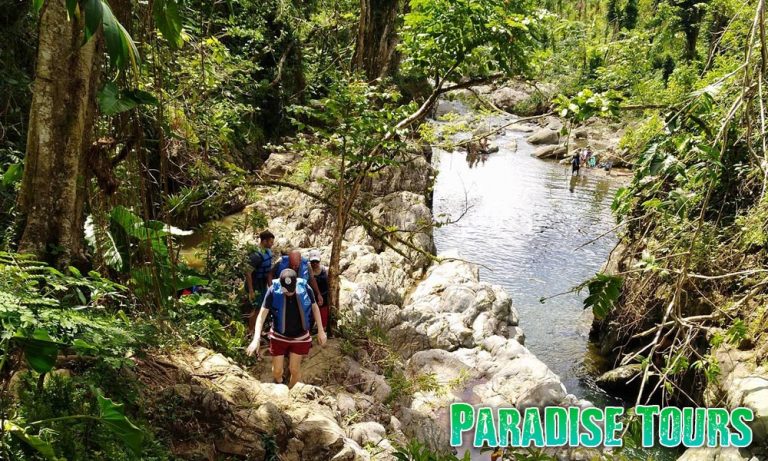 Rain Forest Water Slide Puerto Ri | Paradise Tours Puerto Rico
